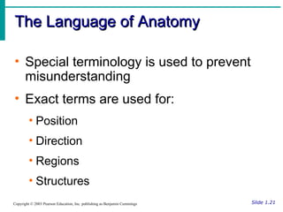 A&P Human Body Orientation | PPT