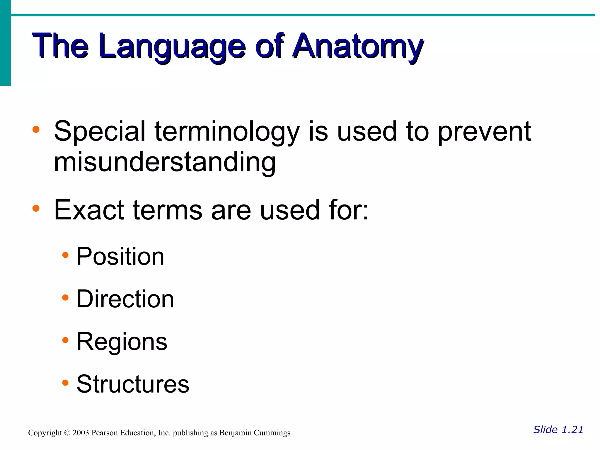 Introductory & Directional Terminology | PPT