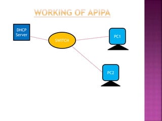 Apipa | PPTX