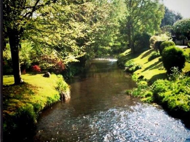 Api pain points | PPT