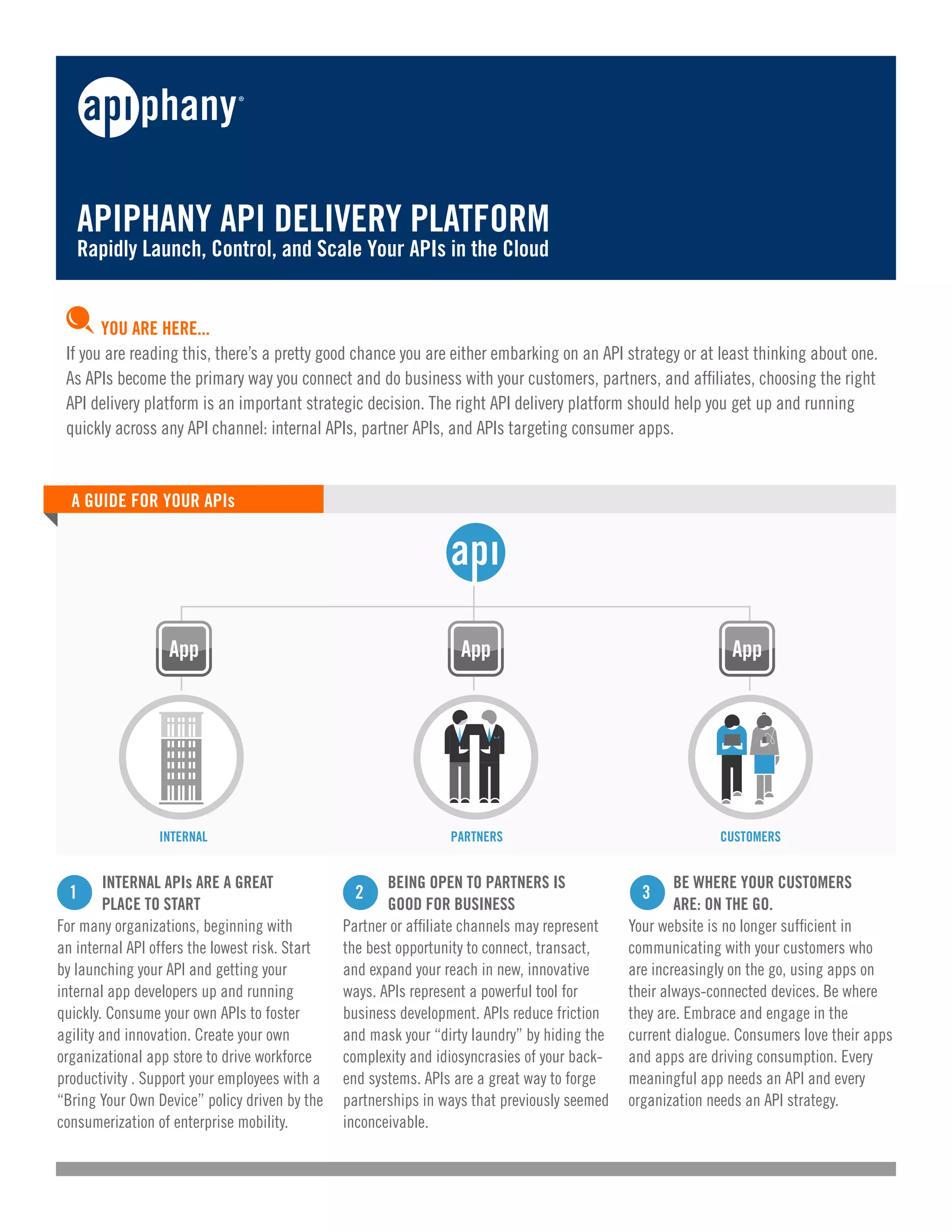 Apiphany API Delivery Platform | PDF