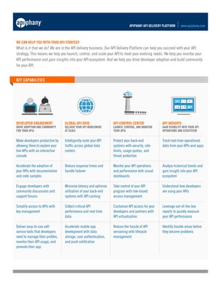 Apiphany API Delivery Platform | PDF