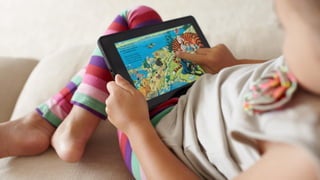 API Strategy: The Next Generation | PDF | Programming Languages | Computing