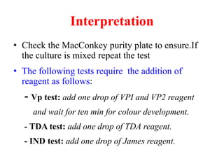 Api test.........بكتريا عملي | PDF