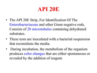 Api test.........بكتريا عملي | PDF