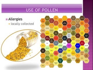 Apitherapy | PPSX