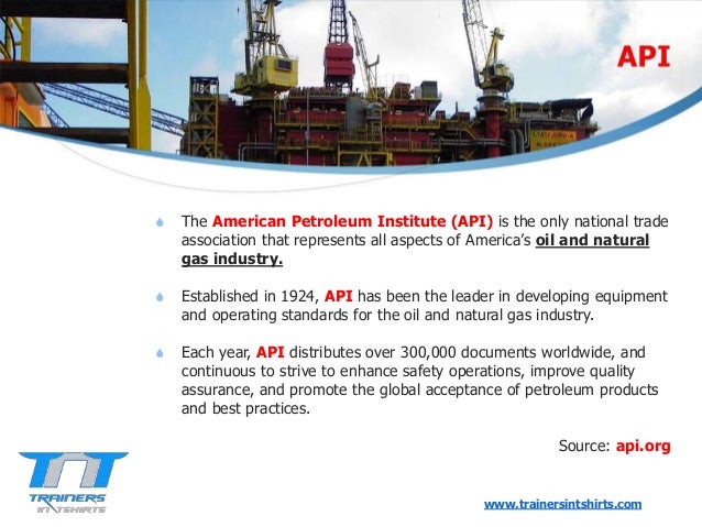 API Inspector Training Program Information