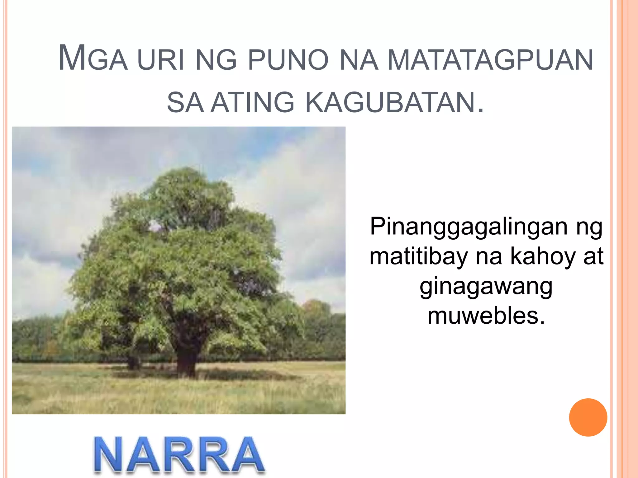 AP IV (ANG ATING LIKAS NA YAMAN) | PPTX
