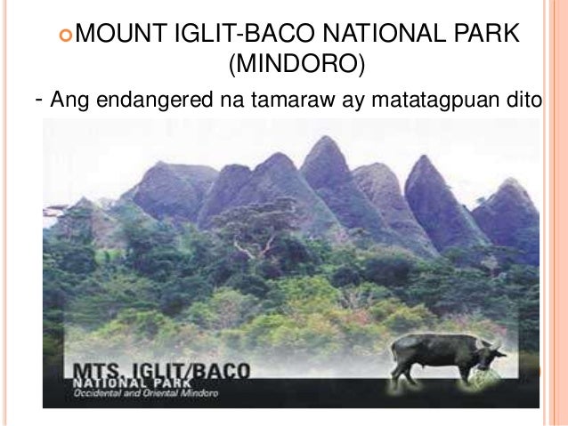 Mga Halimbawa Ng Dalisdis Sa Pilipinas | pinasphim