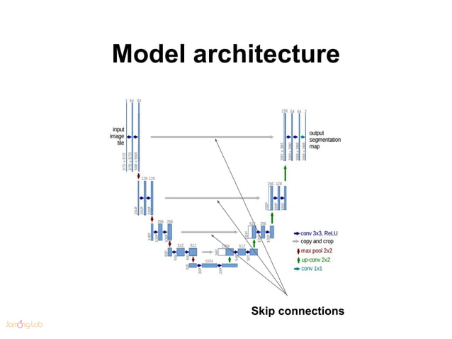 A pixel to-pixel segmentation method of DILD without masks using CNN ...