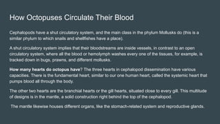 How Many Hearts Do Octopus Have? | PPT
