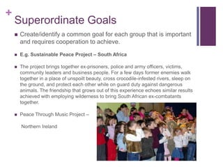 Apl08 reducing prejudice | PPT