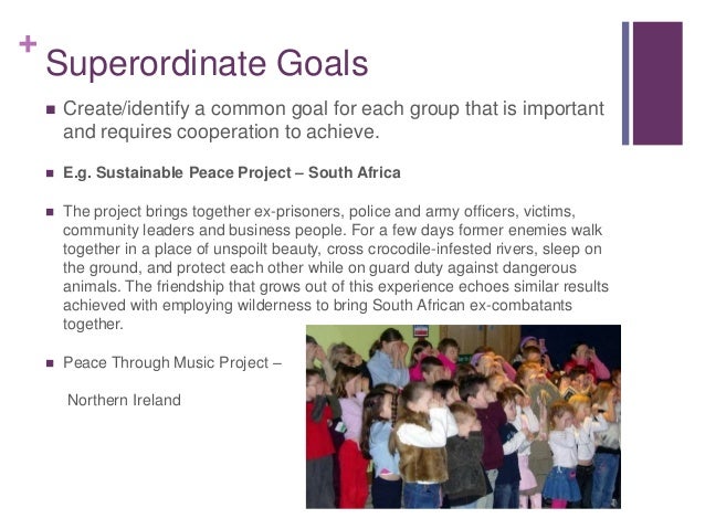 Cooperation Examples Of Animals