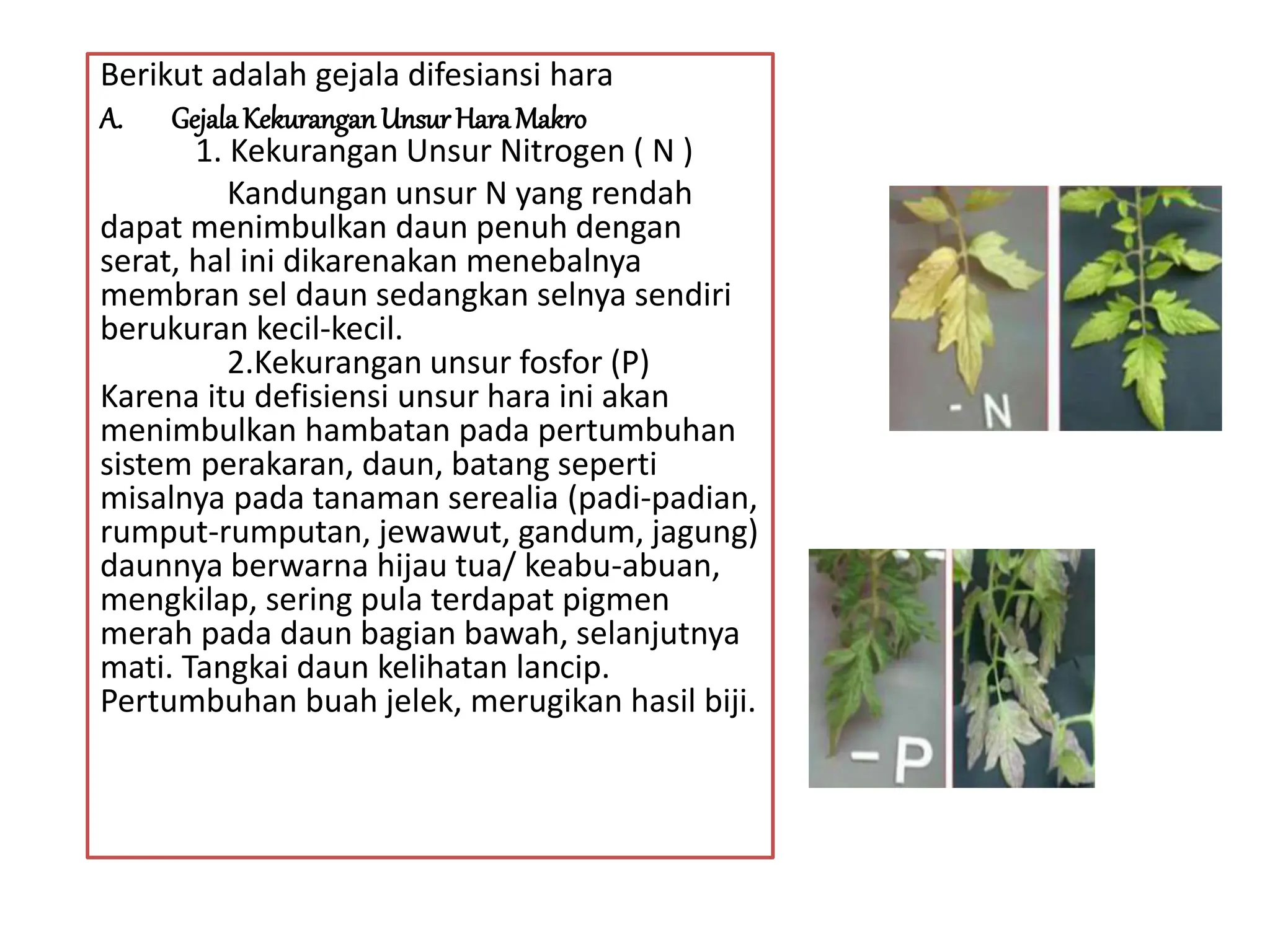 Presentation2-FUNGSI_MINERAL_BAGI_TUMBUHAN.pptx
