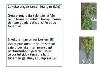 Presentation2-FUNGSI_MINERAL_BAGI_TUMBUHAN.pptx