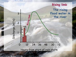 Ap l5 water cycle and hydrograph | PPT