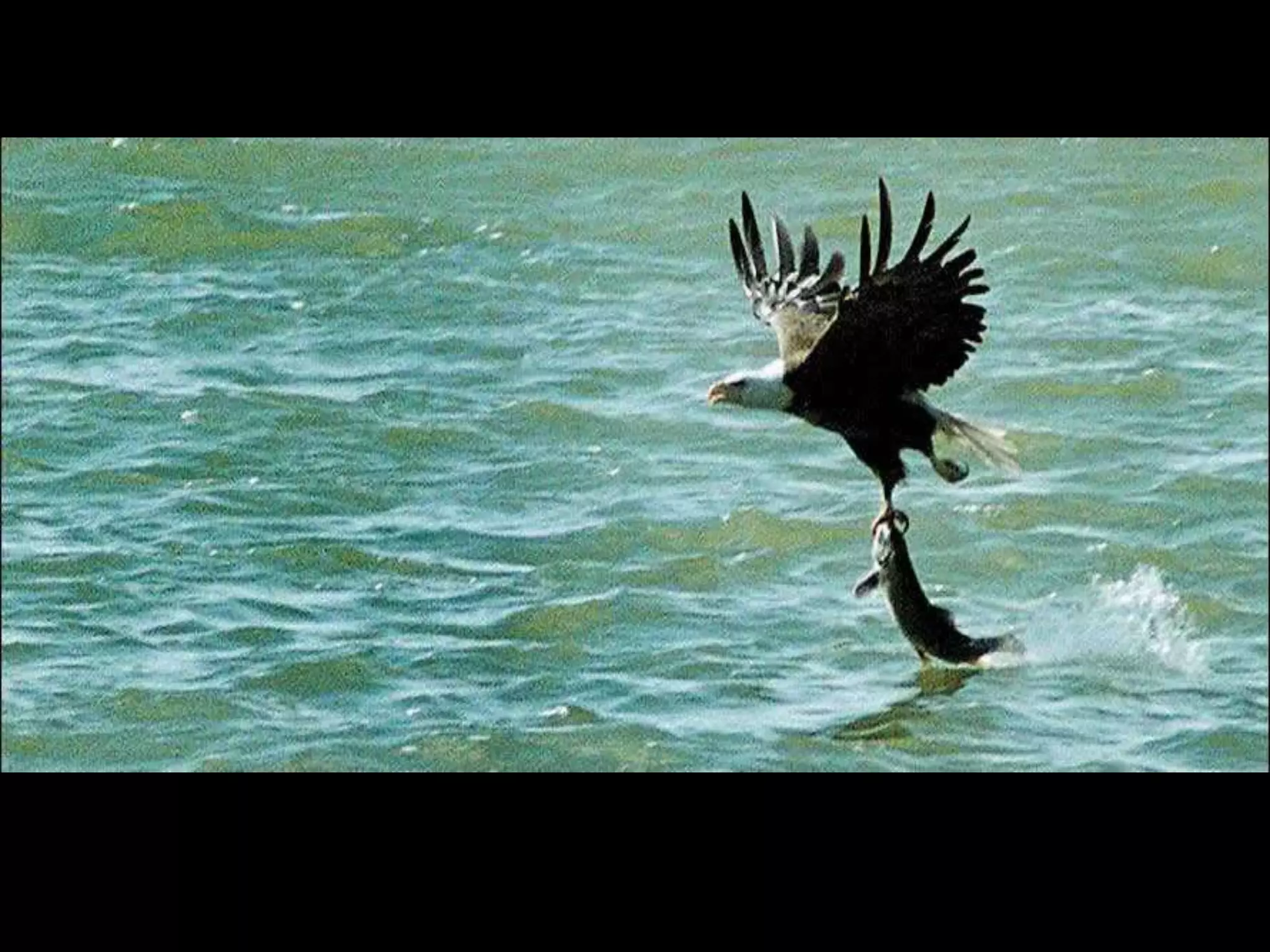 A_Place_Called_Earth_.ppt