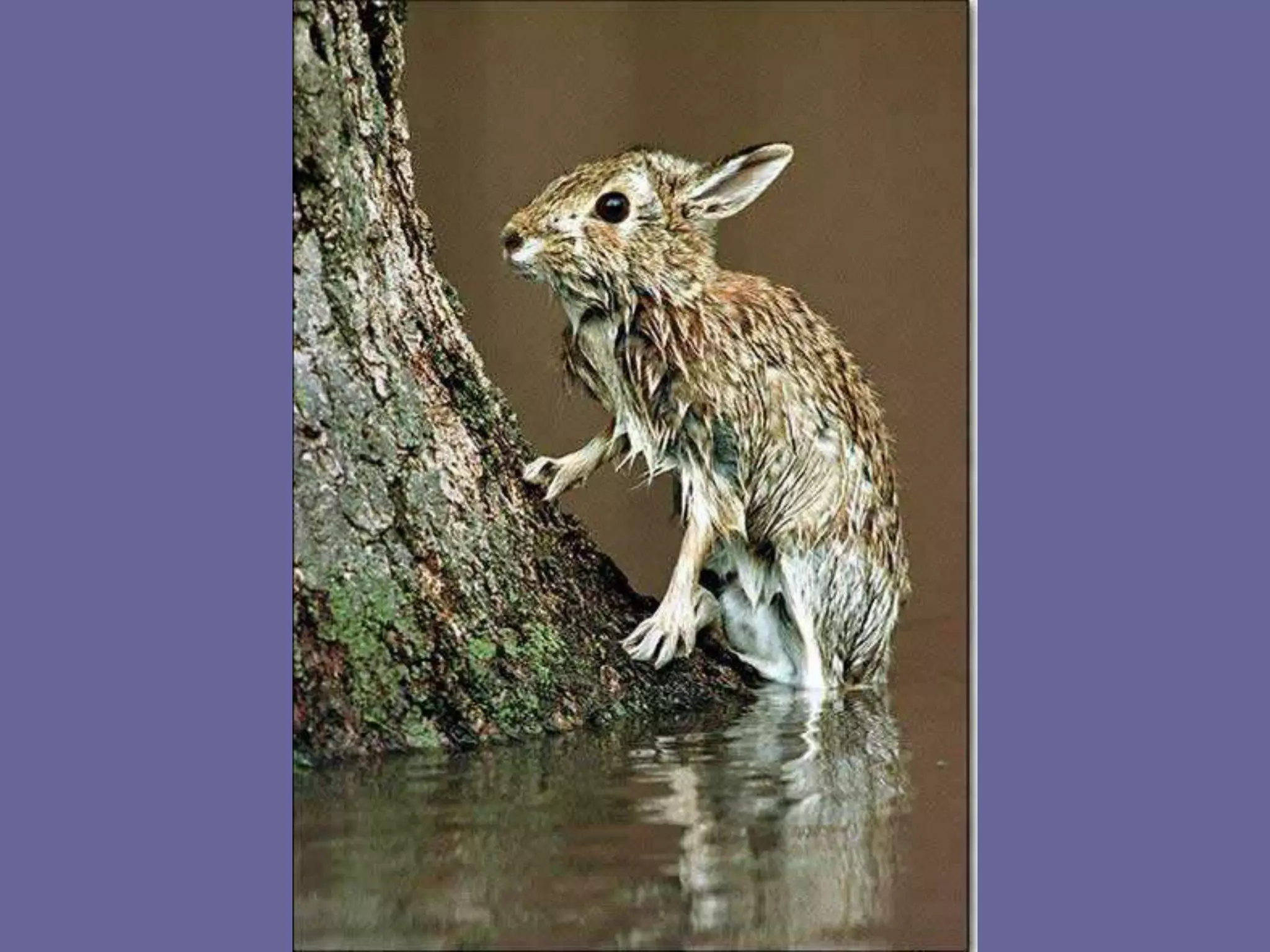 A_Place_Called_Earth_.ppt