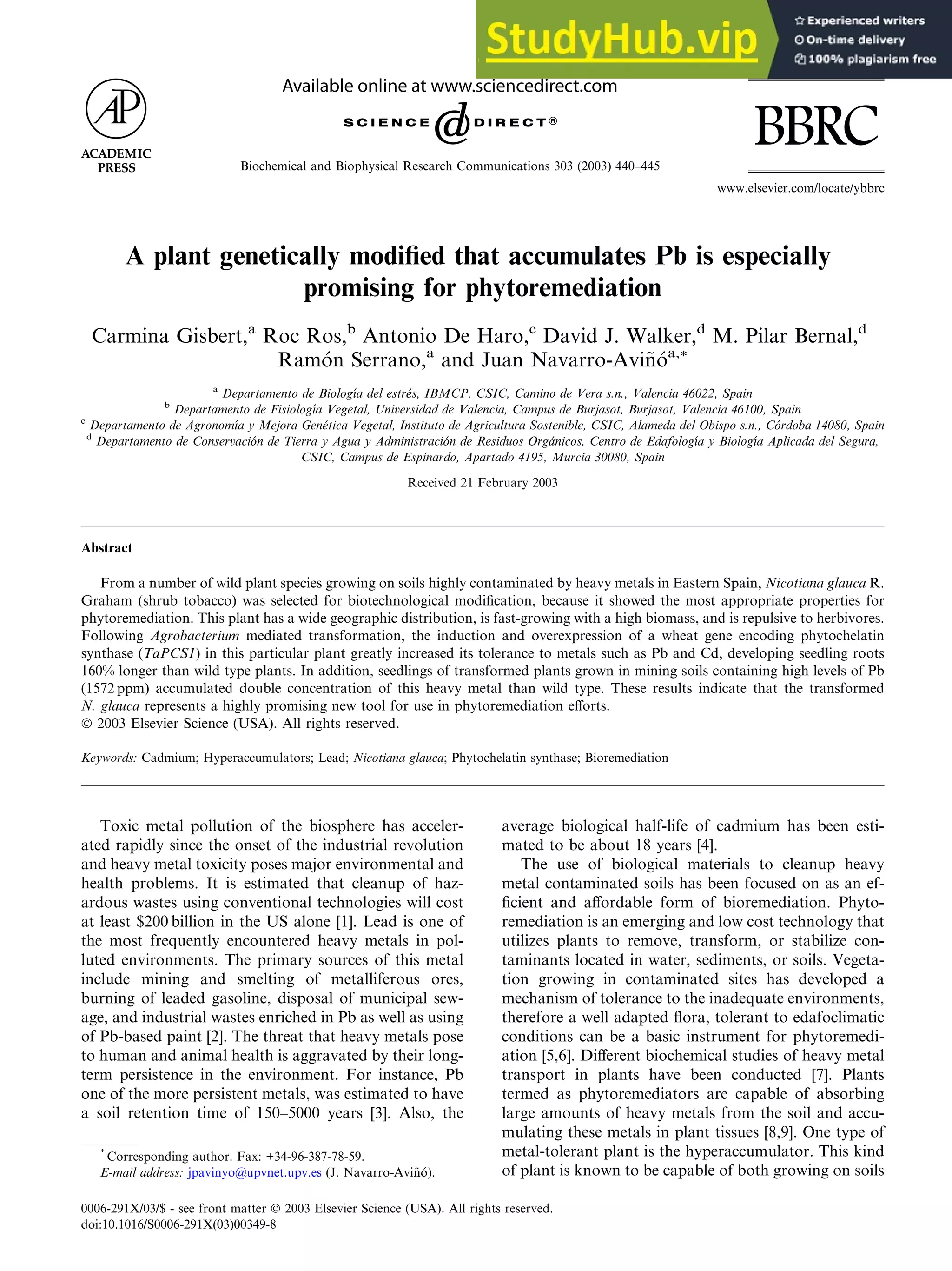 A Plant Genetically Modified That Accumulates Pb Is Especially ...