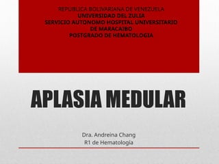Diapositivas - APLASIA MEDULAR.pptx