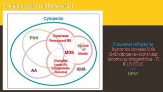 Aplasia medular adquirida y congenita | PPT