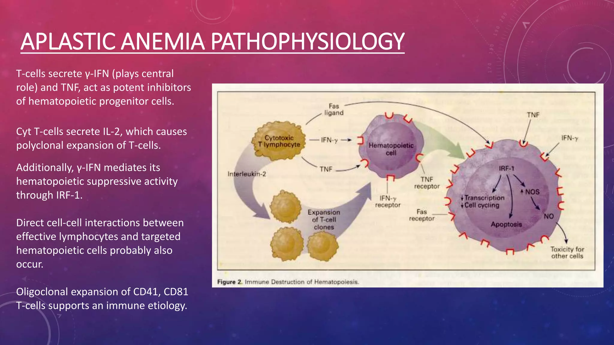 Aplastic anemia | PPSX