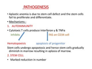 Aplastic Anemia Pathophysiology