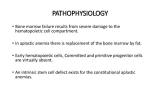 Aplastic anemia | PPTX