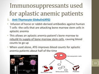 Aplastic anemia | PPT
