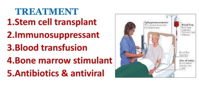 Aplastic Anemias & Bone Marrow Transplant I by Dr. Sookun Rajeev Kumar ...