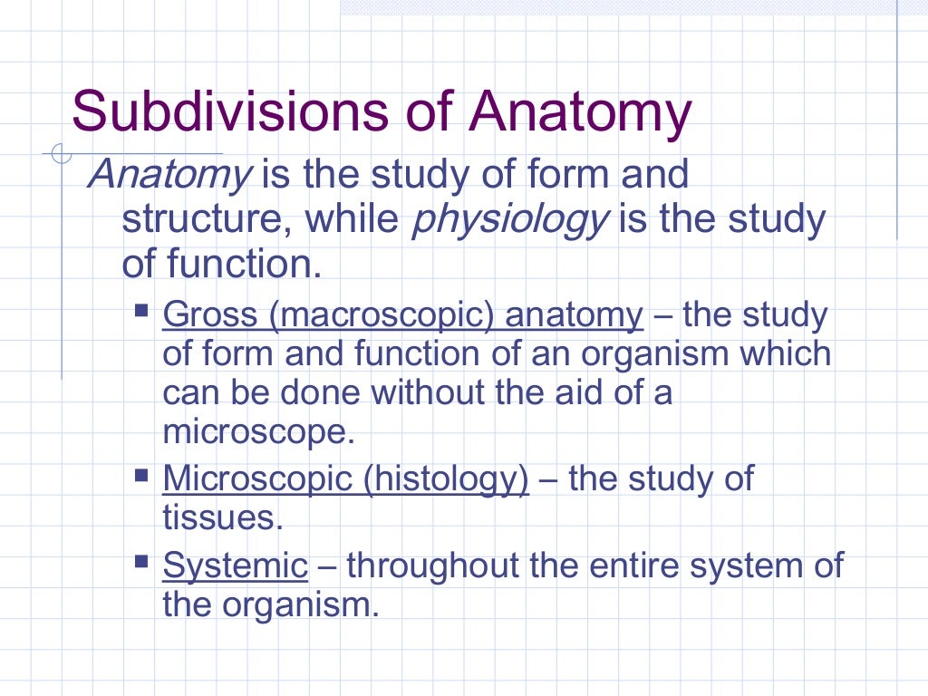 A & p lecture 1 082310 intro, descriptive anatomy, anatomical term…