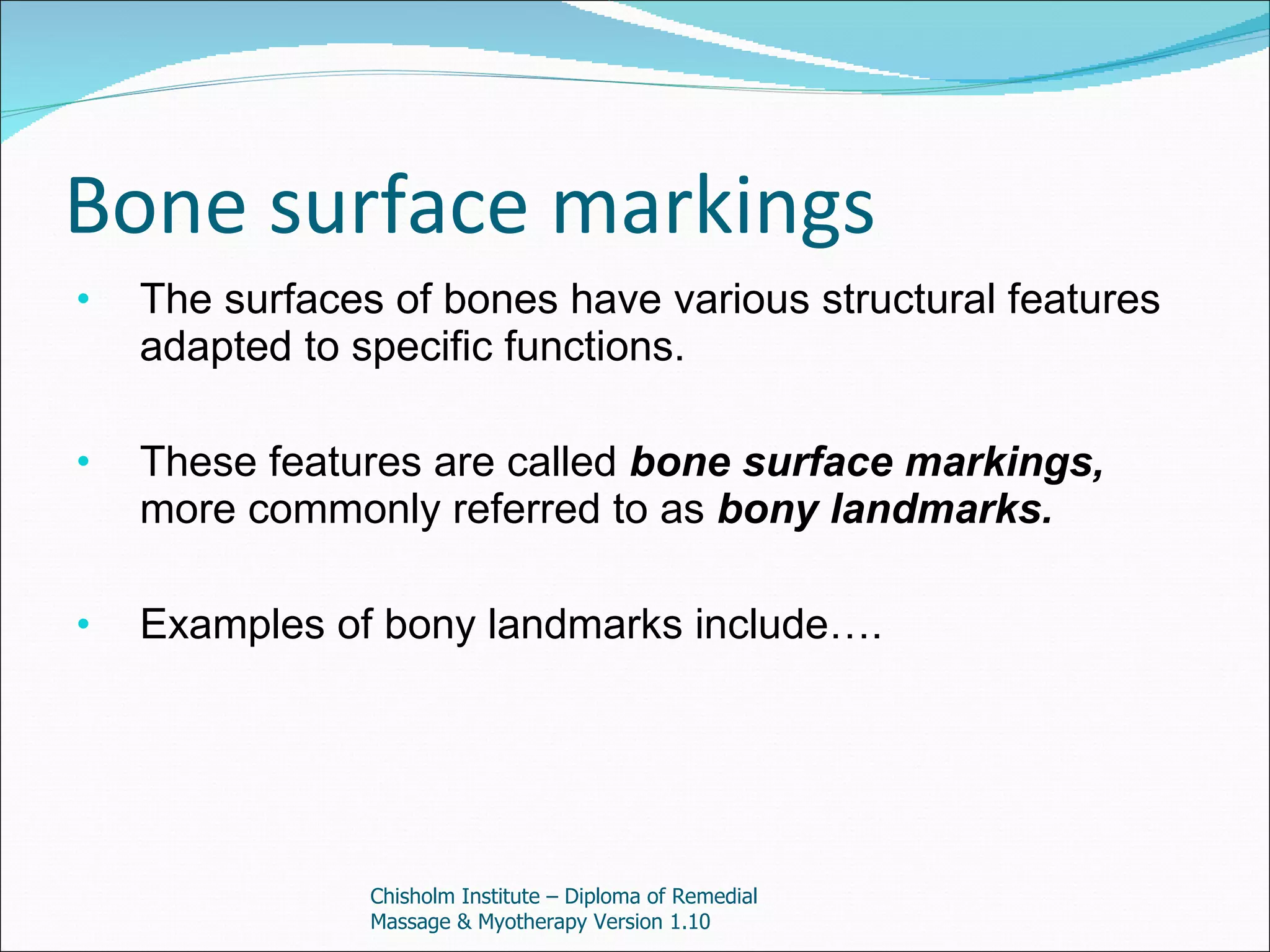 A&p lesson 1 introduction | PPT