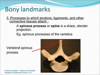 A&p lesson 1 introduction | PPT
