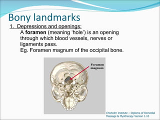 A&p lesson 1 introduction | PPT