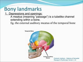 A&p lesson 1 introduction | PPT