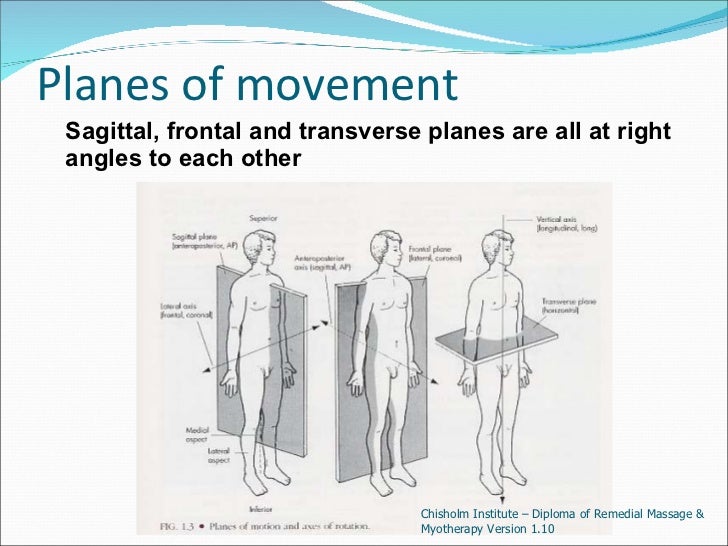 A&p lesson 1 introduction