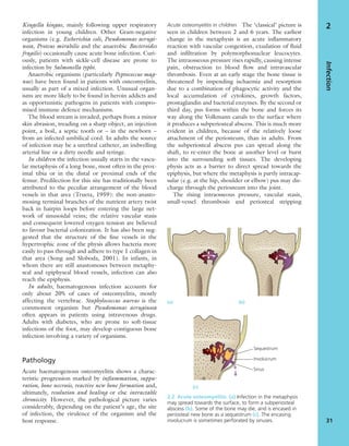 physical examination of orthopaedic patient | PDF | Physical Therapy ...