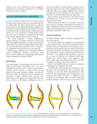 physical examination of orthopaedic patient | PDF | Physical Therapy ...
