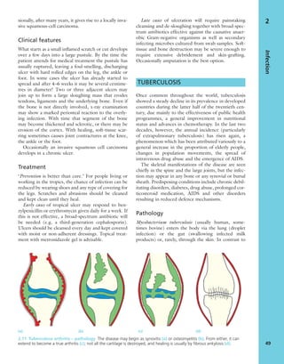 physical examination of orthopaedic patient | PDF | Physical Therapy ...