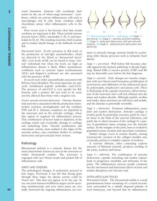 physical examination of orthopaedic patient | PDF | Physical Therapy ...