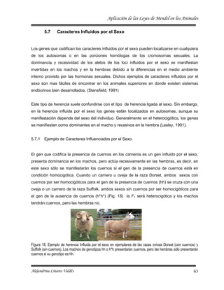Aplicacion de las leyes de mendel en los animales | PDF