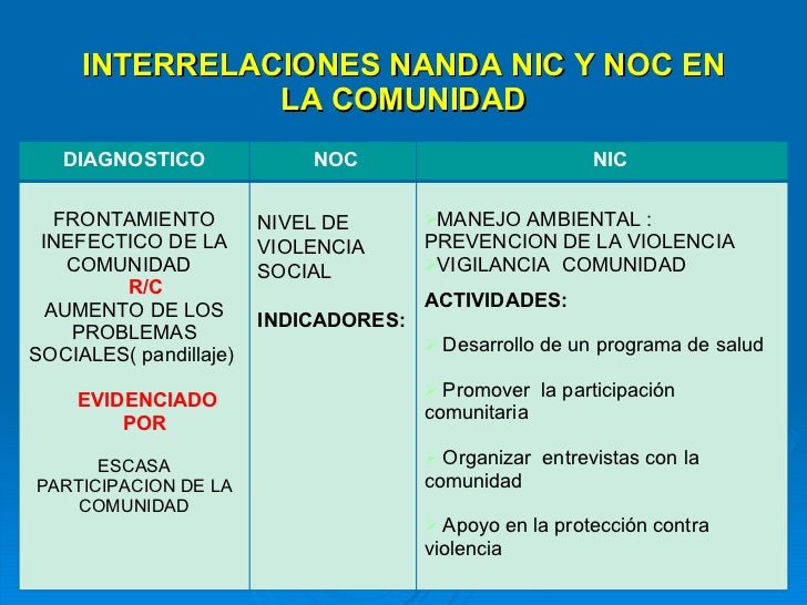 Aplicacion De Nanda Nic Y Noc En La Comunidad