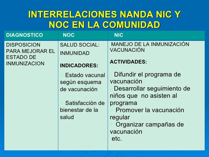 Aplicacion De Nanda Nic Y Noc En La Comunidad