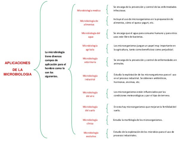 Mapa Conceptual De Microbiologia - book-jb1r