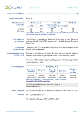 Curriculum Vitae Romanian | DOCX
