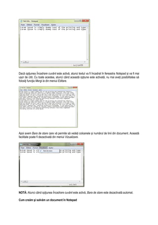 Aplicatia Notepad | PDF