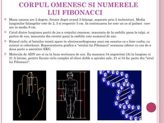 Aplicatii ale matematicii | PPS