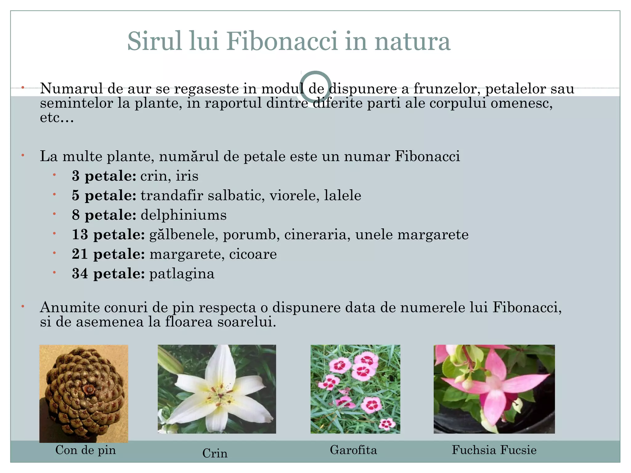 Aplicatiialematematicii abordariinterdisciplinare 1 | PPT