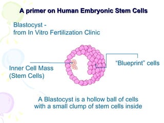Aplikasi Stem Cell Pada Penyakit Parkinson | PPT