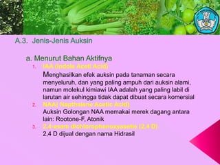 aplikasi zpt 1.pptx